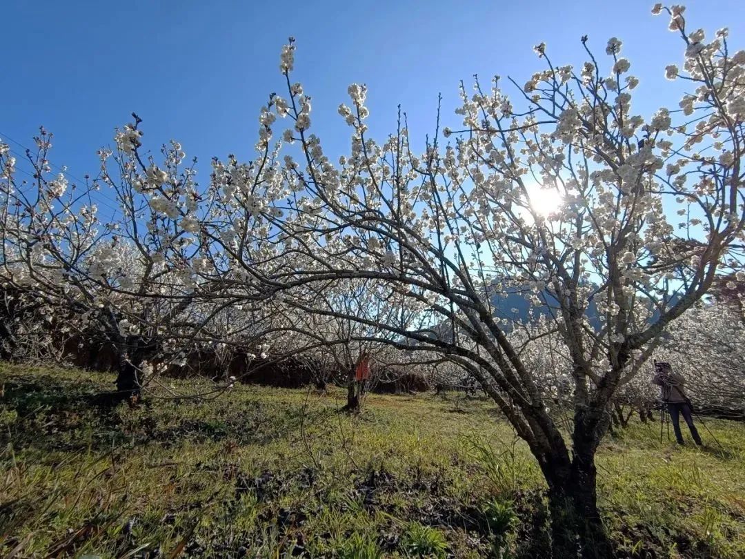 Gejiu's breathtaking beauty is hidden here... - iNEWS